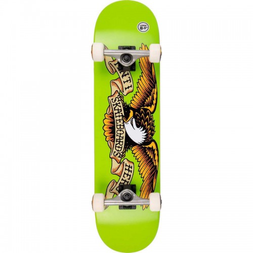 Toy Machine Skateboards